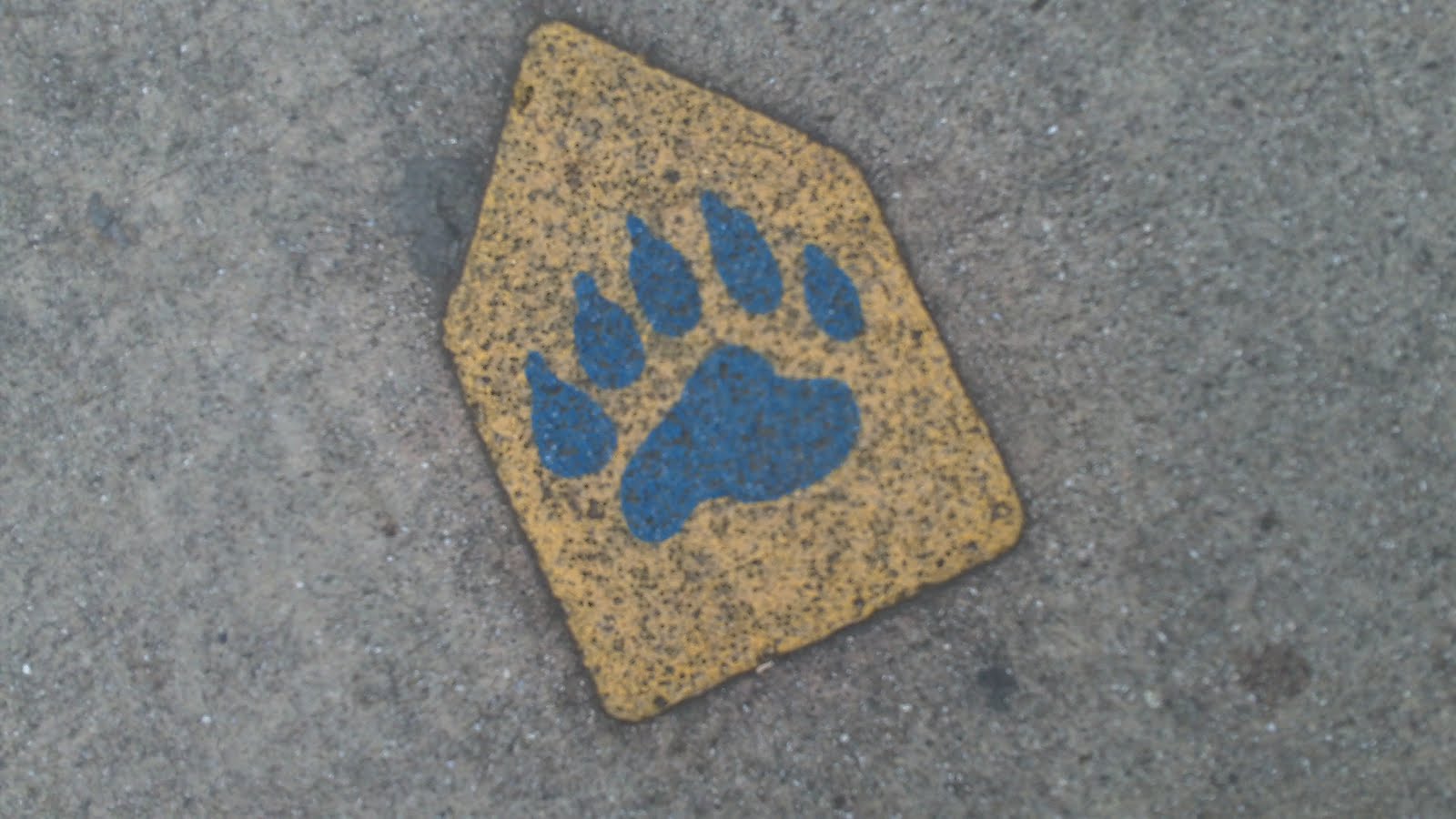 Particulations: At UCLA You See LA