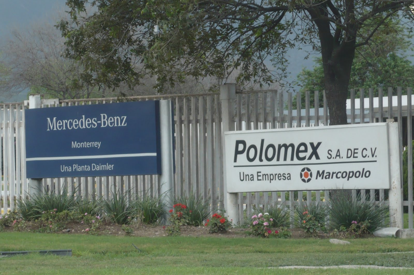 Retro Buses: Mercedes Benz- Monterrey y Polomex (1a parte)