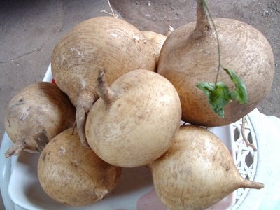 Pinoy Food and Recipes: Basic Filipino Ingredients