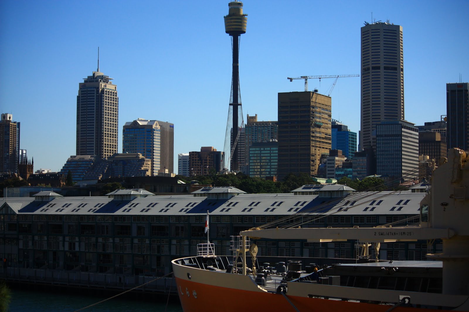 Thru my Sydney Eye: City from Embarkation Park, Potts Point