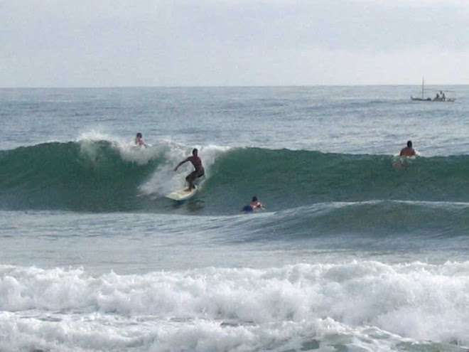 Hasselmann Longboard: Bem Vindos & Origem Surf na família