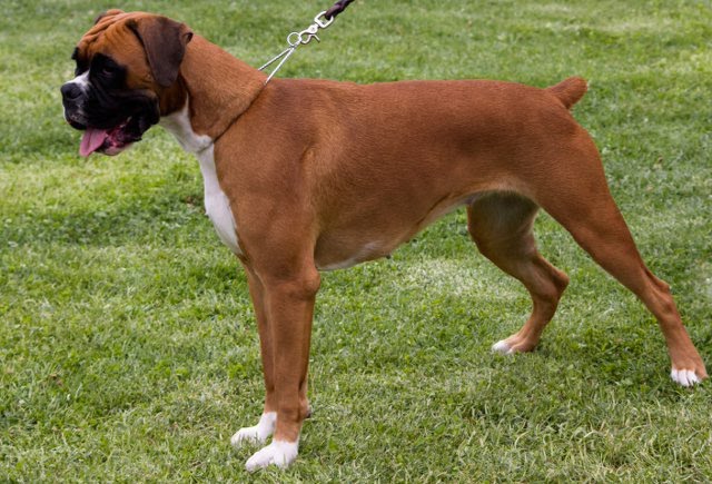 Gran Canaria "Un Paisaje por Descubrir" : junio 2010