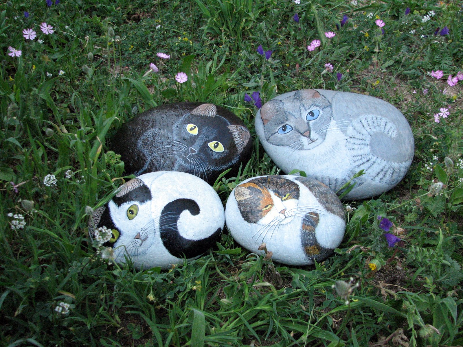 Il mondo dei sassi dipinti: GATTI