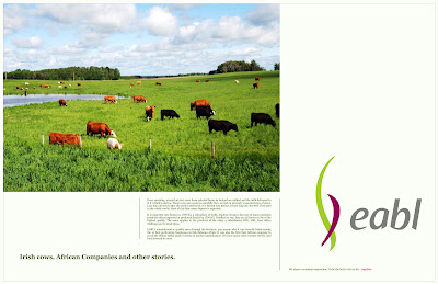 Kariuki's Work: eabl Corporate ID pitch
