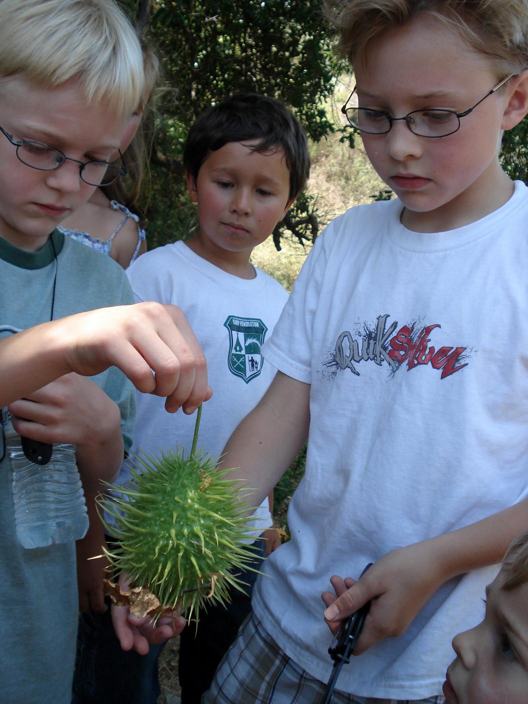 A Charlotte Mason Nature Study Group