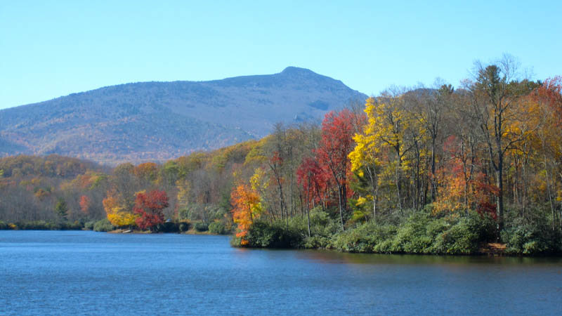 Wings & Wildflowers: Fall Foliage in Asheville, NC