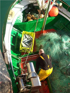 Online Geography Project: Spain: Human Environment Interaction