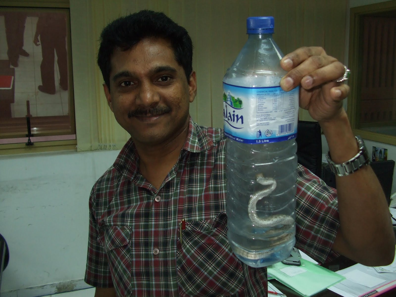 Dubai Snake - Mujeeb's Magic | NattuKazhchakal