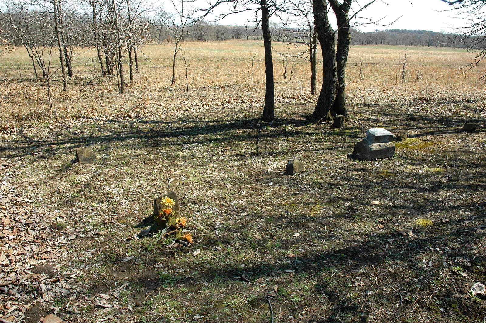 The Wildwood: A INFAMOUS PAST AND PRESENT