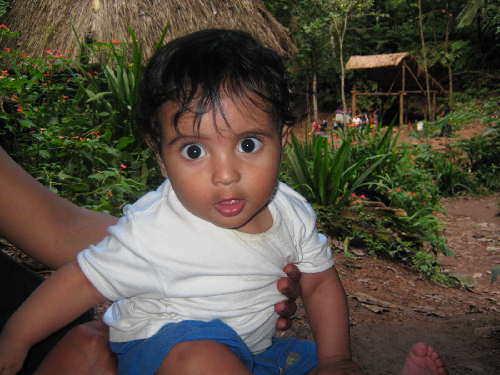 A MI LINDO BEBE: MI CHOLITO LINDO