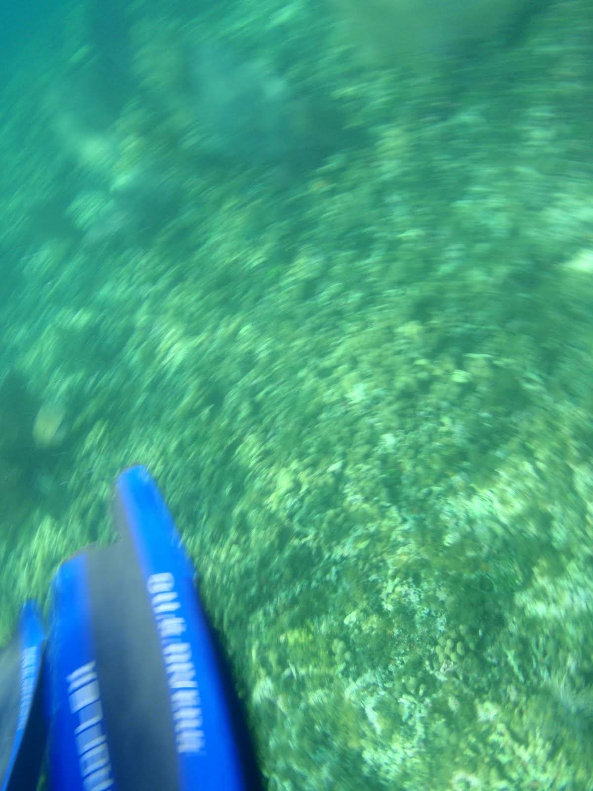 Experiencing Exposure: The Real Salt Life