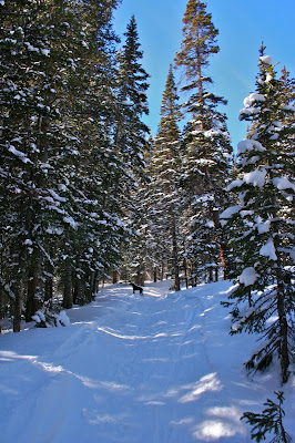Colorado Lifestyle: Jones Pass Snowshoe