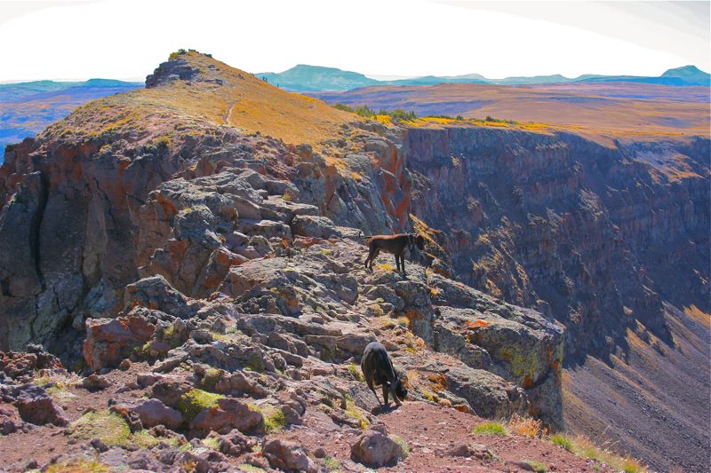 Colorado Lifestyle: Devils Causeway Hike