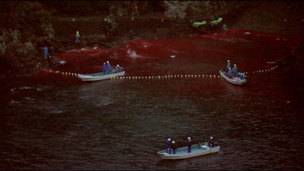 The Agitation of the Mind: The Cove