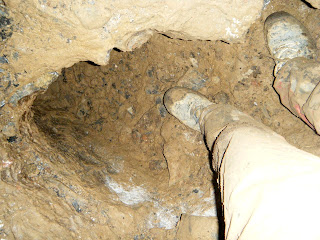 Tawnee Stone What Happened To Her?