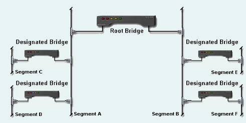 Computer n' Networking: STP (Spanning Tree Protocol)