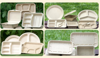Tomorrow 明天: Eco-friendly biodegradable containers