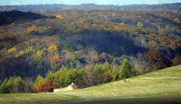 Manuel's Views: Fall In Elk County, Pennsylvania