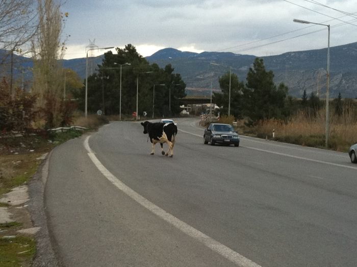 KINHMATA ΑΠΟ ΤΑ ΚΑΤΩ: ΟΙ ΑΓΕΛΑΔΕΣ ΠΛΗΡΩΝΟΥΝ...ΔΙΟΔΙΑ;