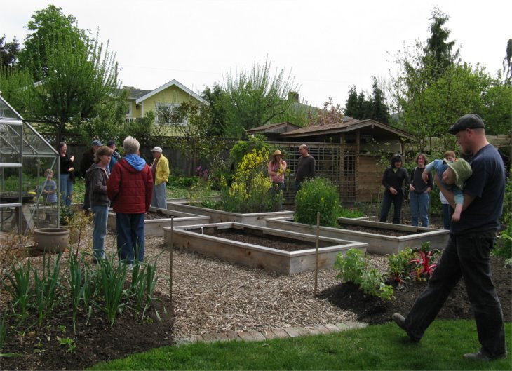 Really Random Garden: GTUF's urban garden tour