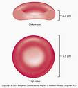 강 적 유: Kelainan Bentuk Eritrosit (Red Blood Cell)