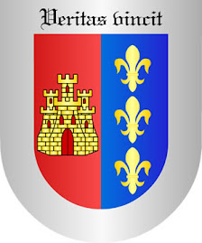 angicita