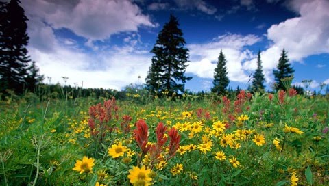 Priroda Download Besplatne Slike