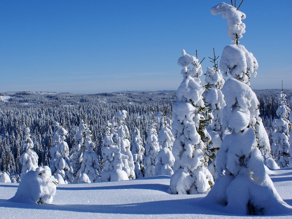 Pozadine za desktop - Priroda: kolovoza 2011