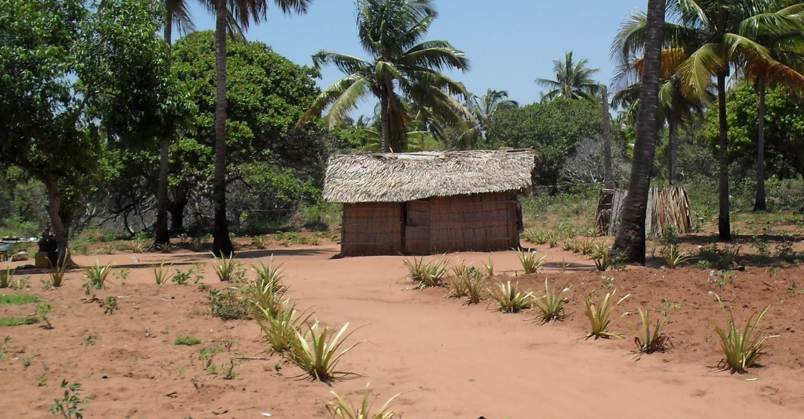 Blog IDEE: Mapas para Mozambique