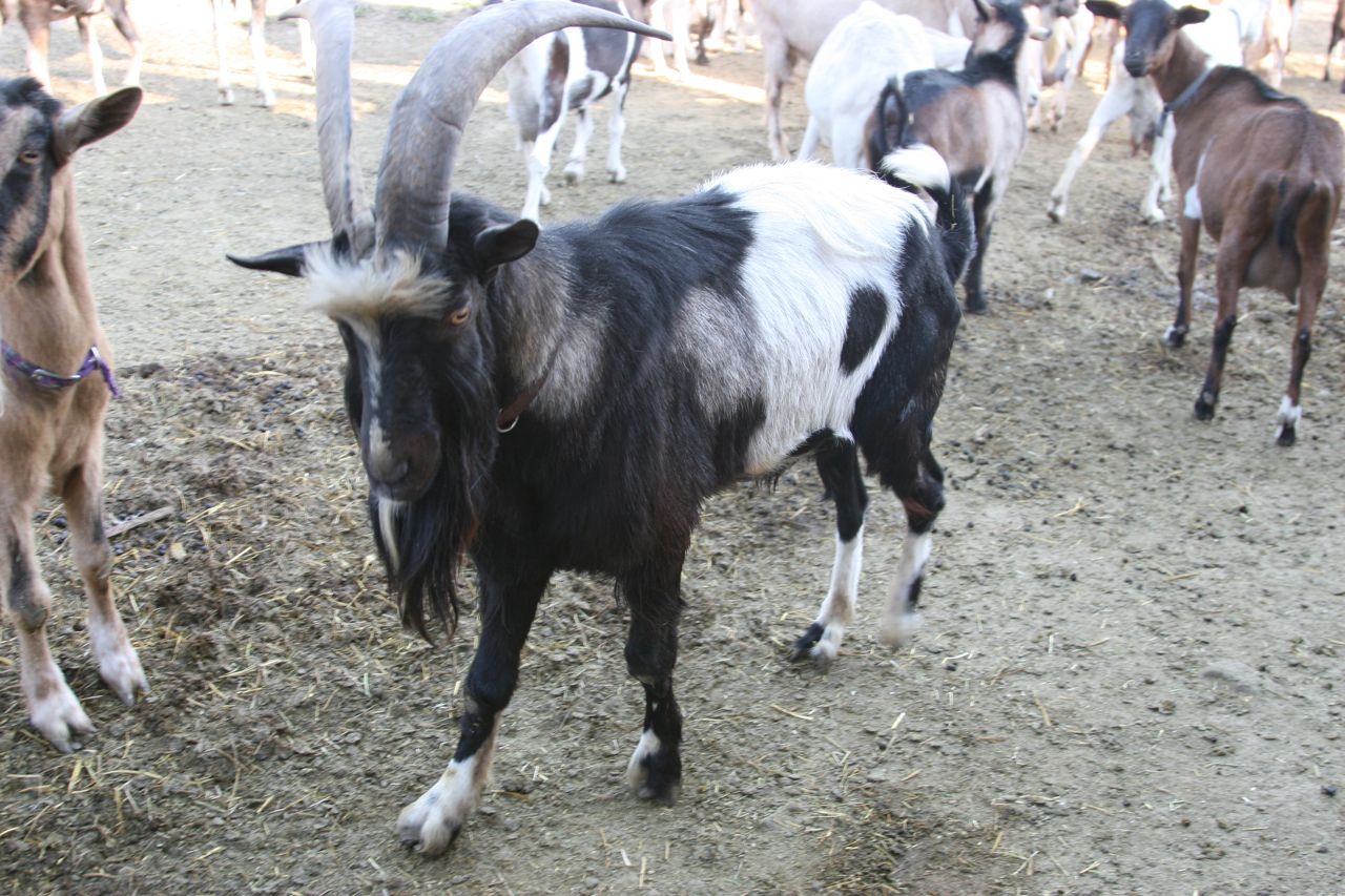 Suited To The Seasons: Farm School!