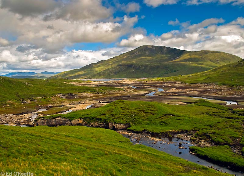 Franklins Brewery Highland Hugh