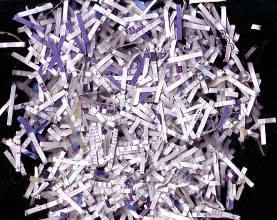 THE SHREDDER: Feminist Phobia/Leftard Idiocy