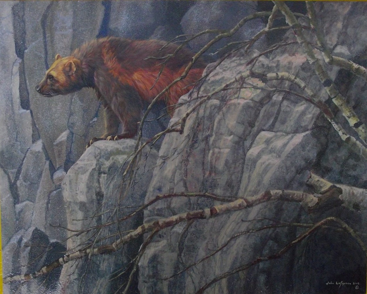 The Show and Tell Nature Blog: Back to Re-work