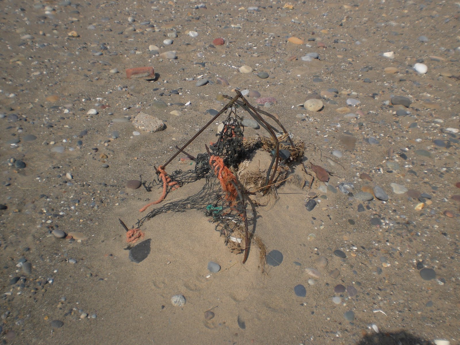 jean's muse: September 2010