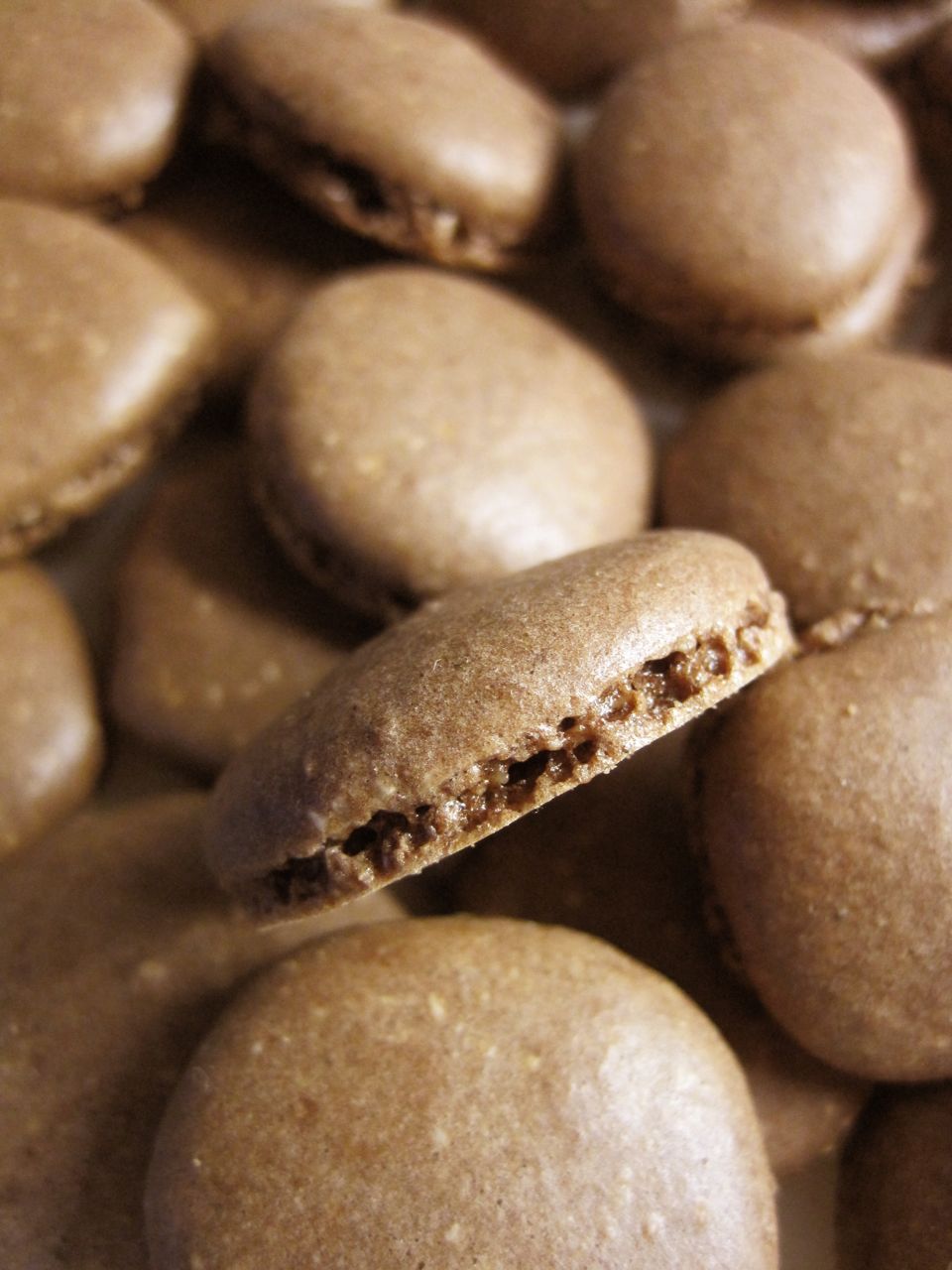 Chocolate macarons with dark chocolate ganache