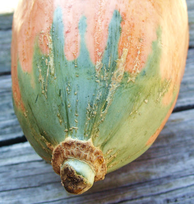 Sage Trifle: Candy Roaster Pie