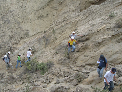 DISCONFORMIDAD, DISCONTINUIDAD Y DISCORDANCIA | Contact the Domain ...