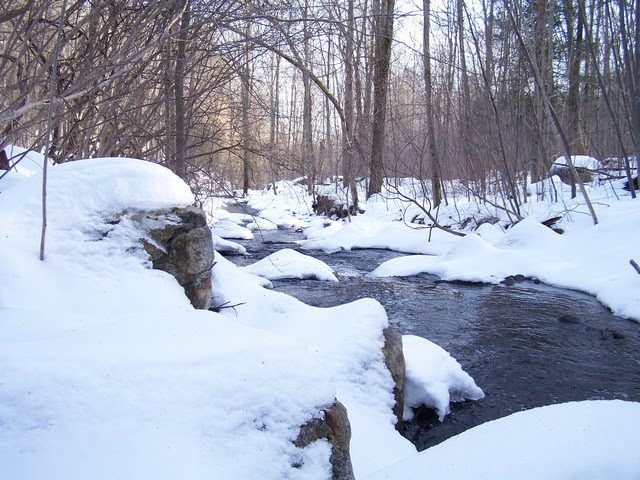 The Colony Of Connecticut: Climate