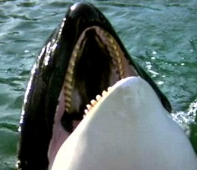 FilmFather: Orca (1977)