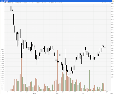Portfolio Diversification: STI Exchange Traded Fund