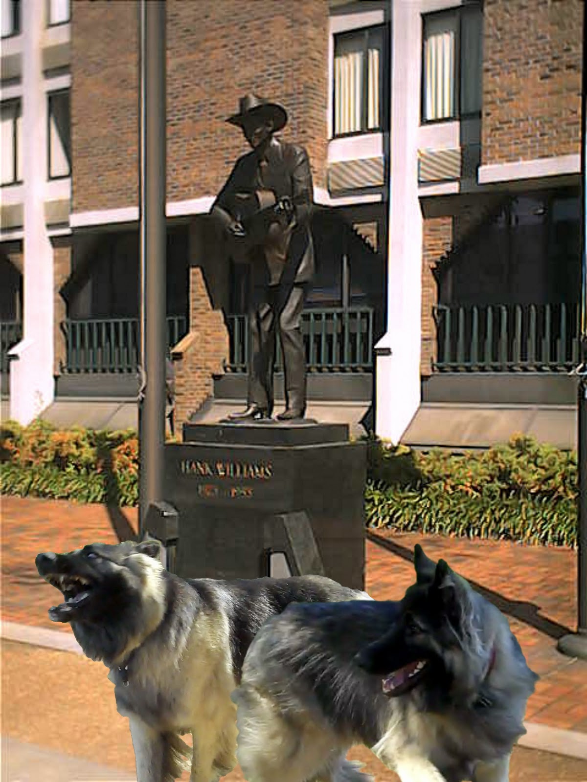 Cooper's Shiloh Shepherd Blog: Cooper & Kira - World Travellers ...