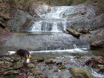 Reading the Washington Landscape: The Chuckanut Range and Silver Creek ...