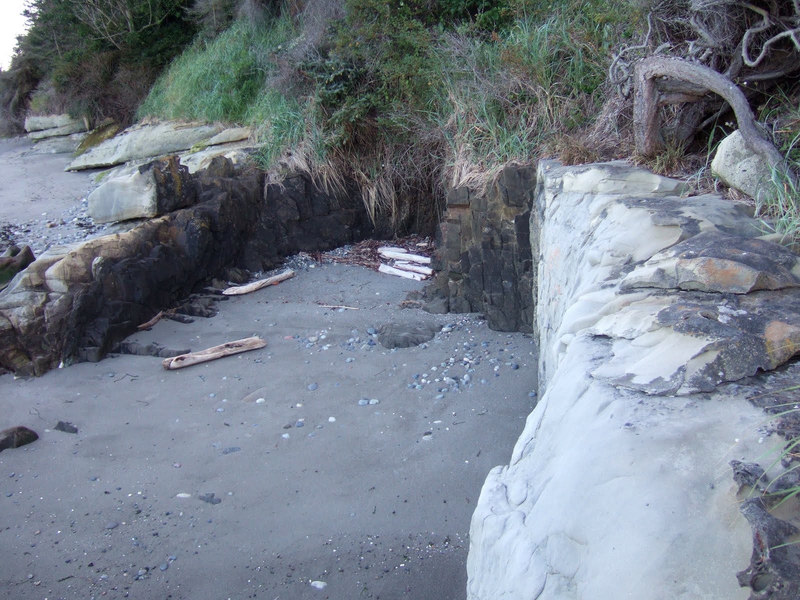Reading the Washington Landscape: Marrowstone Island Geology Trip to ...