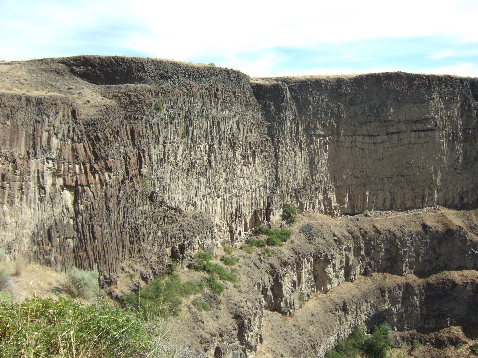 Reading the Washington Landscape: My contribution to the columnar state ...