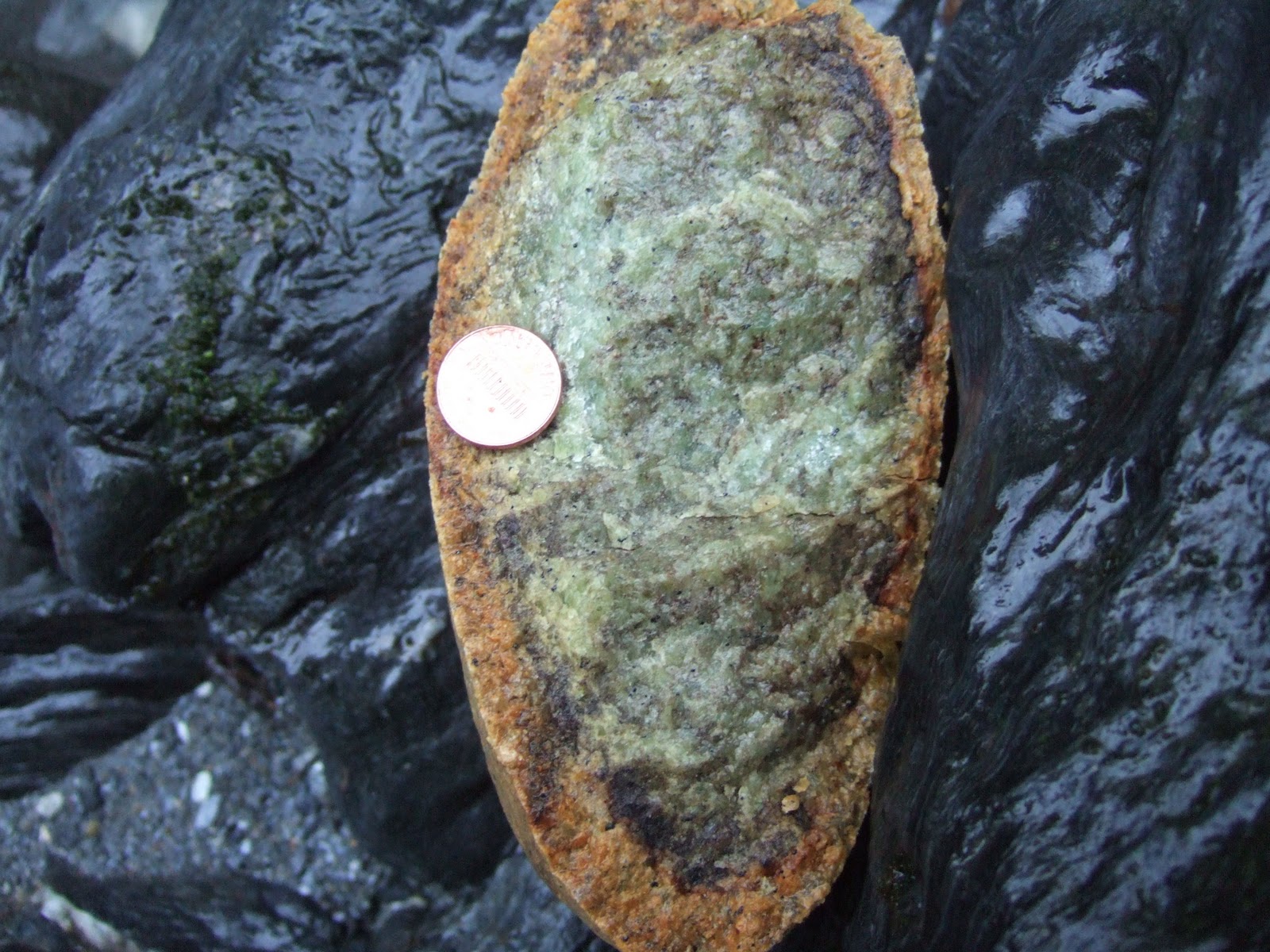 Reading the Washington Landscape: Twin Sisters Range and Dunite