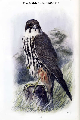 . A Book every Six Days .: Review - Wilson, D M & Wilson C J “Edward ...