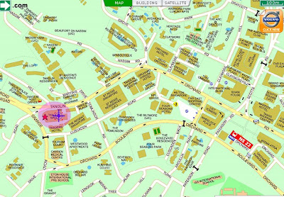 The Christmas Tree of Life 2008