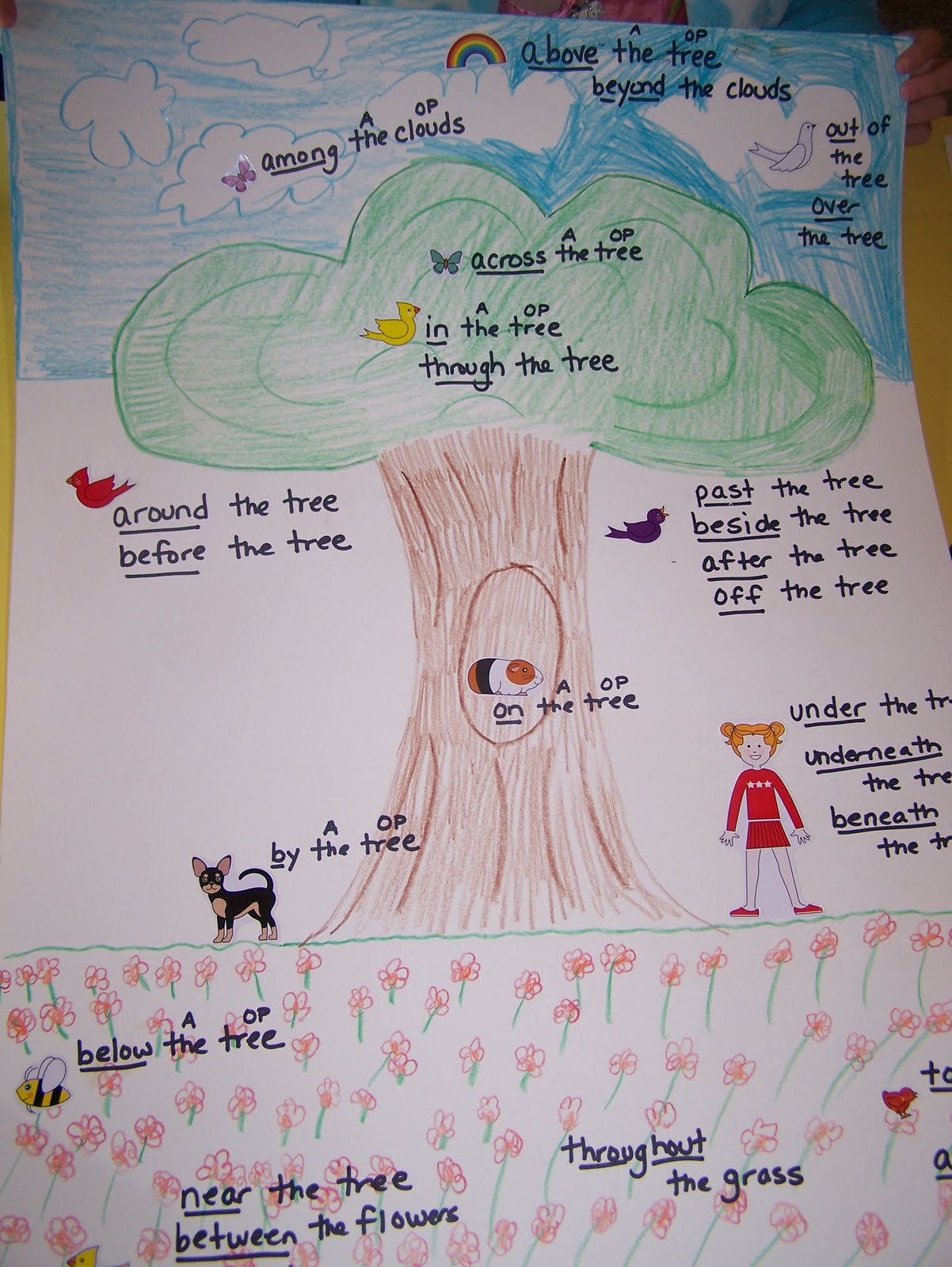 Just in Case: Preposition Tree