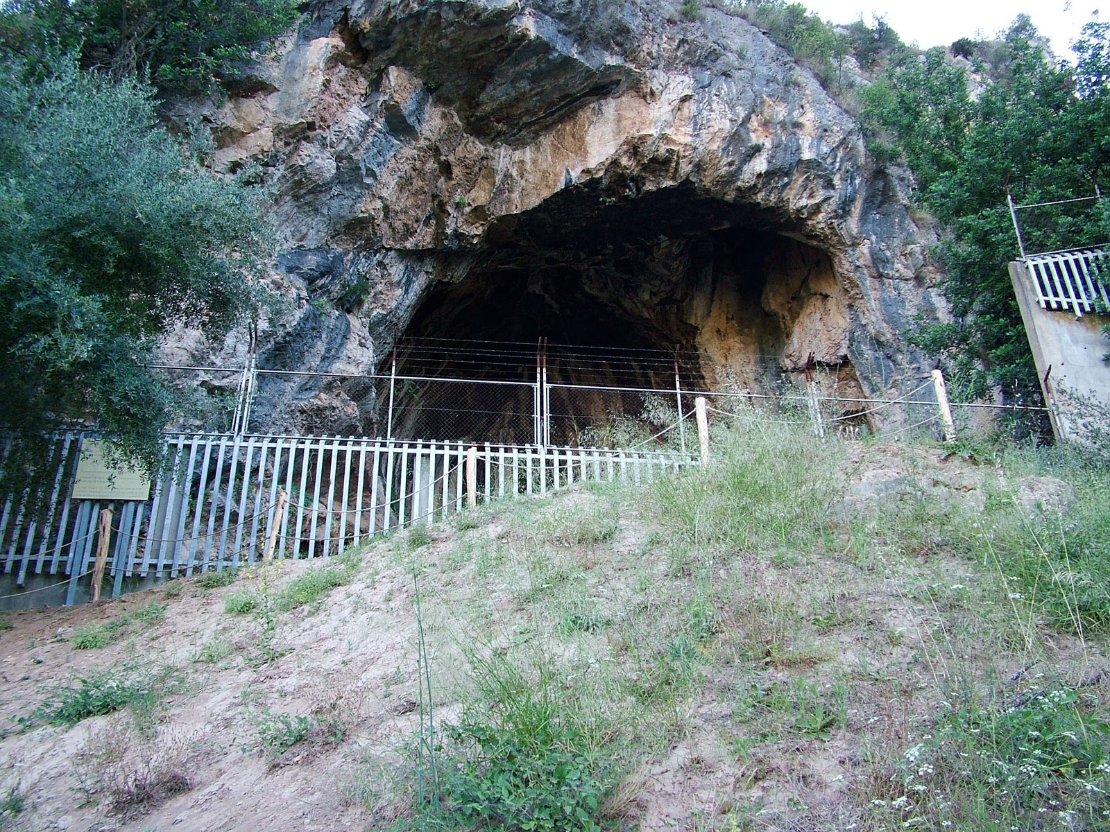 Cova Negra: Cova Negra