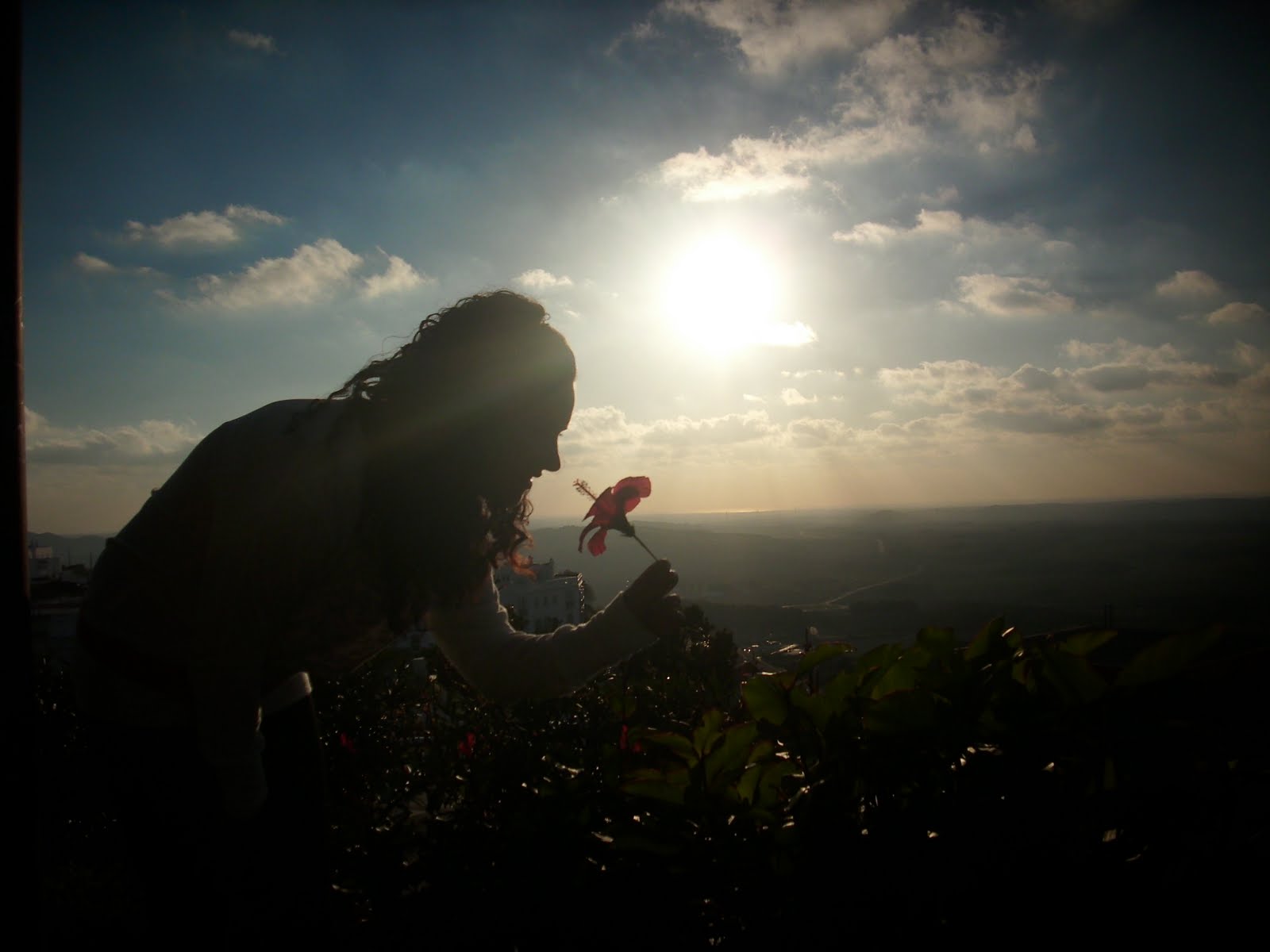 Todo depende de como lo mires: Fotografía a contraluz